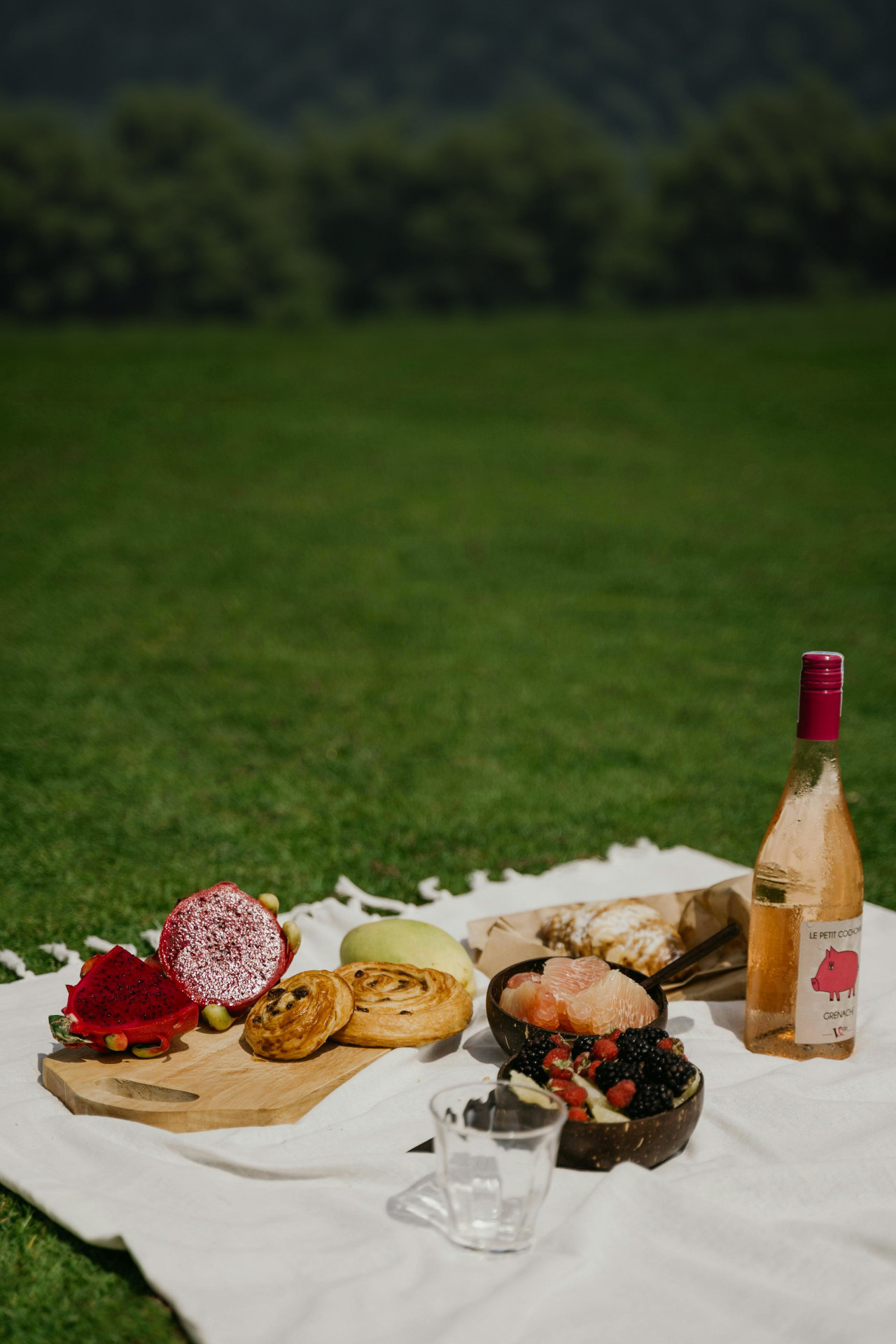 Ein Picknick für die Ewigkeit: Romantischer Heiratsantrag im Park - Lovely Rings